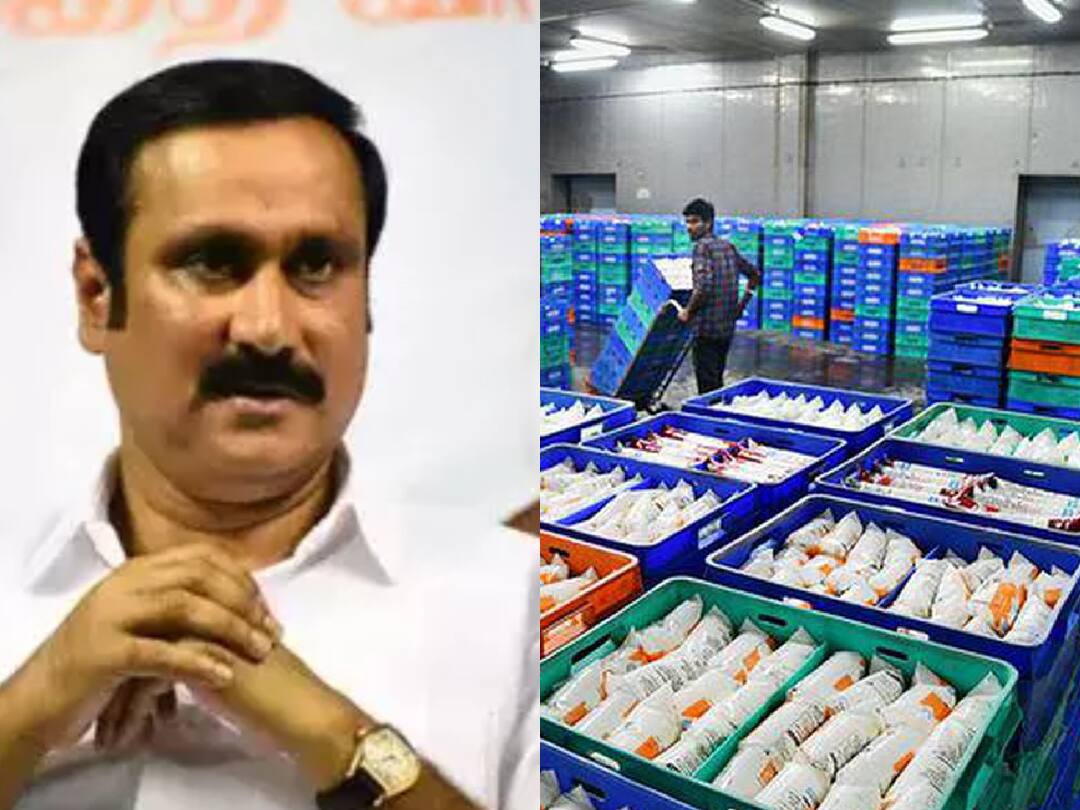 Anbumani Ramadoss Urges Tamil Nadu Government stop Child Labour Problem ...