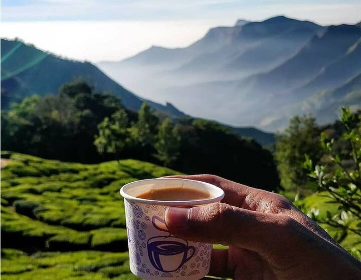 Munnar Coorg Ooty and many more are the best South India hill station ...