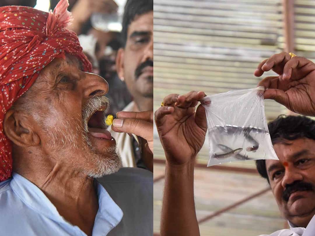 Bathini Fish Prasadam to asthmatics distribution of fish medicine in ...