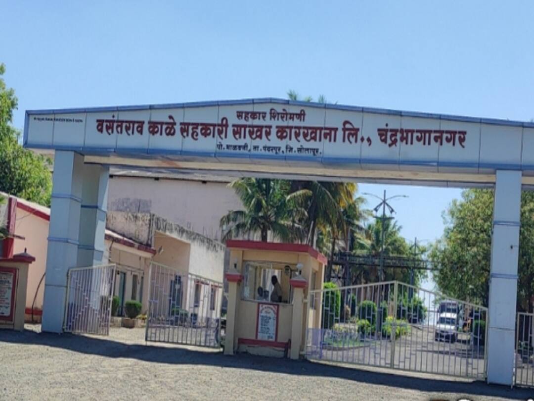 Voting In Pandharpur Sahkar Shiromani Vasantrao Kale Sakhar Karkhana ...