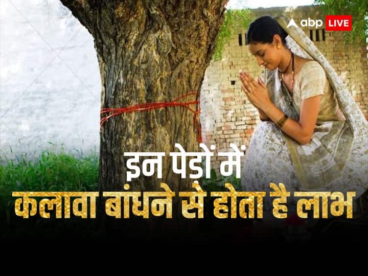 Puja Path Niyam Tying Kalava In These 5 Trees Brings Lots Of Progress ...