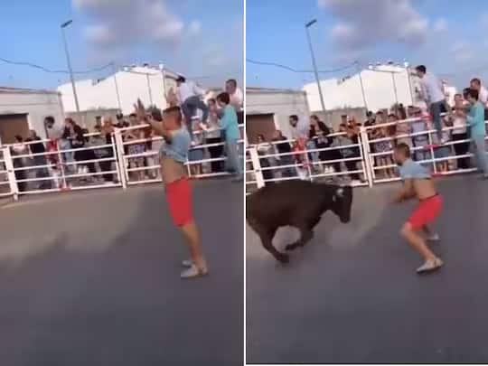 viral man stand in front of running bull gets hit badly bull hit man ...