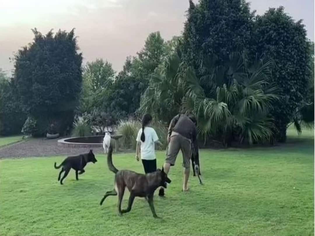 WATCH: MS Dhoni, Daughter Ziva Engage In Fun-Filled Moments With Their ...