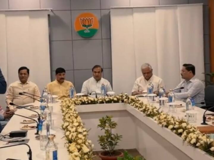 Lok Sabha Elections 2024 What Would Be The Bjps Strategy For The North