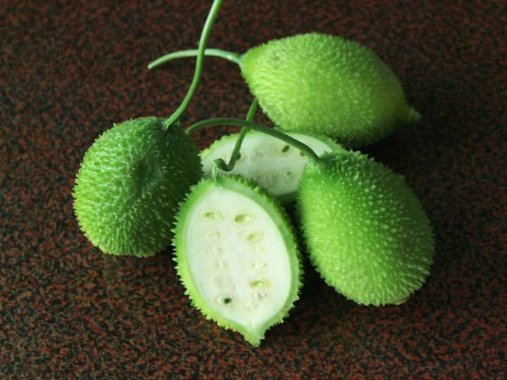 Kantola Health Benefits Know Advantages Of Spiny Gourd Vegetable For ...