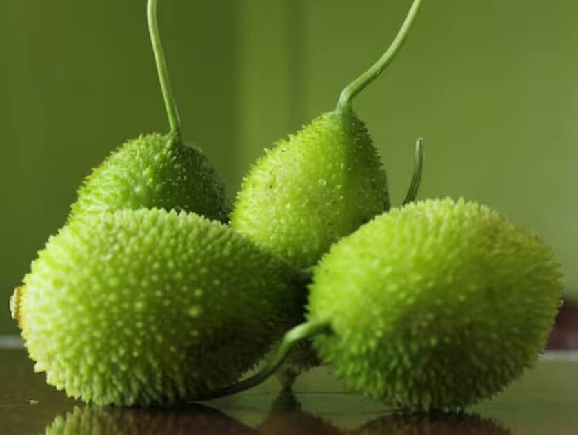 जाणून घ्या कर्टुल्याचे फायदे