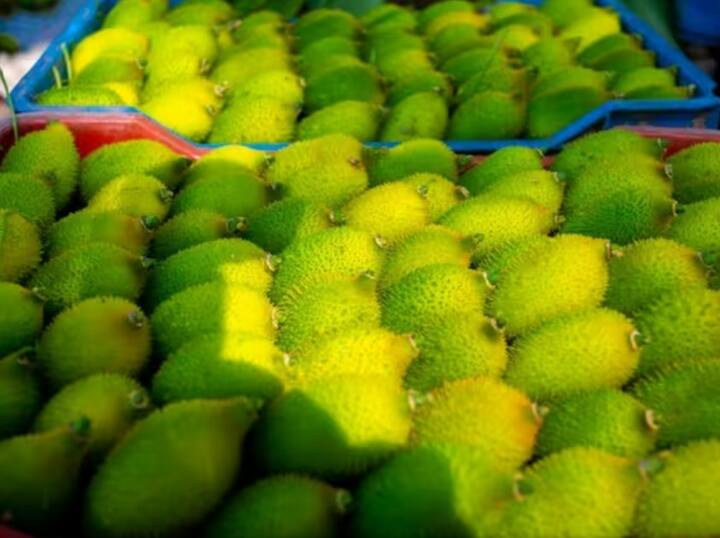 Benefits o | आरोग्यदायी कर्टुले, जाणून घ्या कर्टुल्याचे फायदे