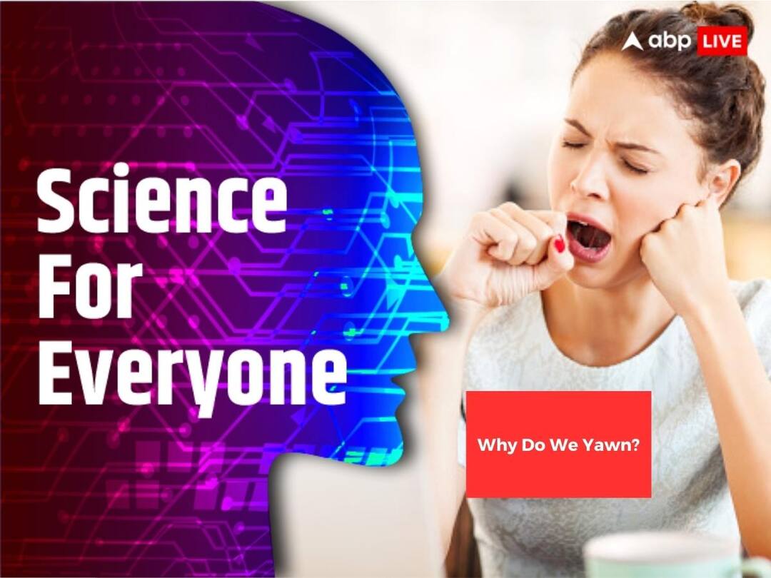 Yawning Reasons Why Do We Yawn Science For Everyone Yawning Does Not Indicate A Need For Sleep ...