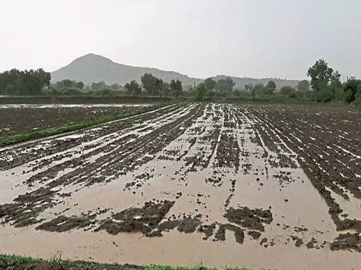 Nanded Rain Update Heavy rains in Nanded district SDRF jawans camped Maharashtra | Nanded Rain ...
