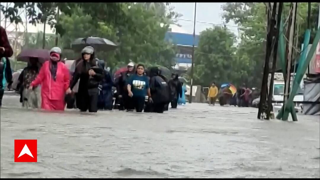 Gujarat may have faced such a terrible flood before today, cars, humans and cattle were swept ...
