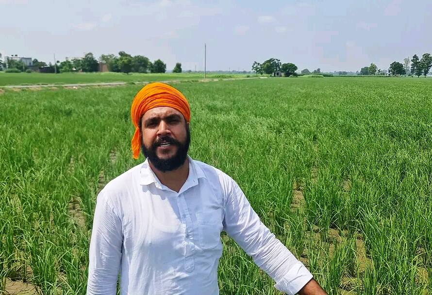farmer explained the benefits of direct sowing of paddy during floods | Floods - ਇਸ ਕਿਸਾਨ ਦੀ ਫਸਲ ...