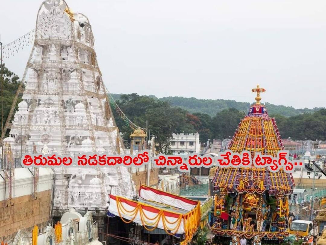 TTD Tags For Kids: Tirupati police issues ID tags for children below ...