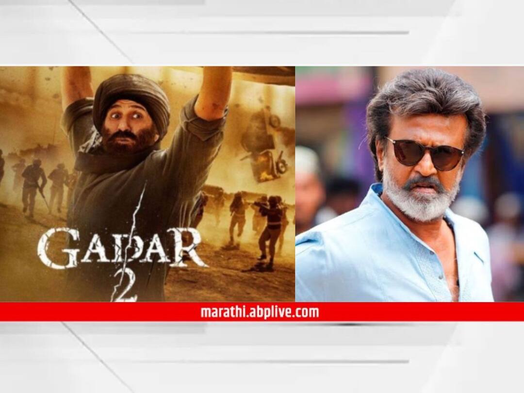 Sunny Deol ameesha patel Gadar 2 Rajinikanth Jailer Akshay Kumar pankaj tripathi OMG Box Office ...