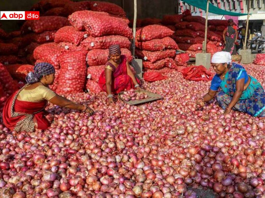 Onion Price Hike Indian Govt Imposes 40% Export Duty On Onion Till December 31 | Onion Price ...