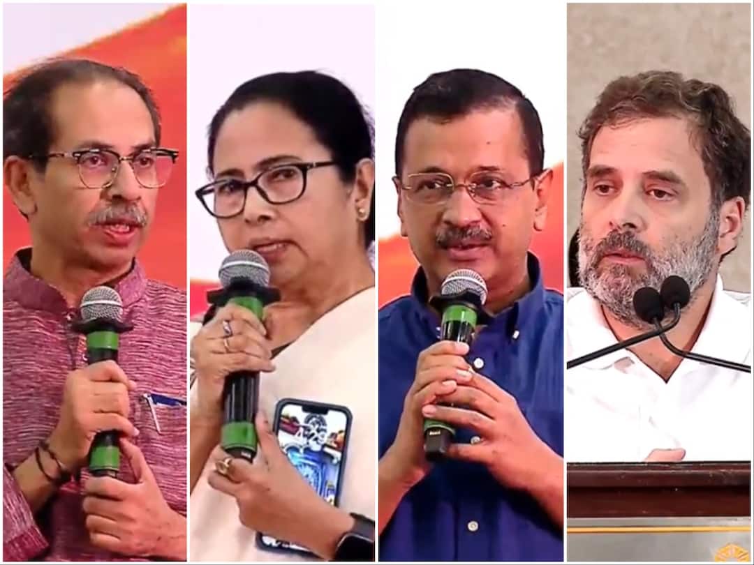 INDIA Bloc Logo unveil Coordination Panel Convener At Third meeting in ...