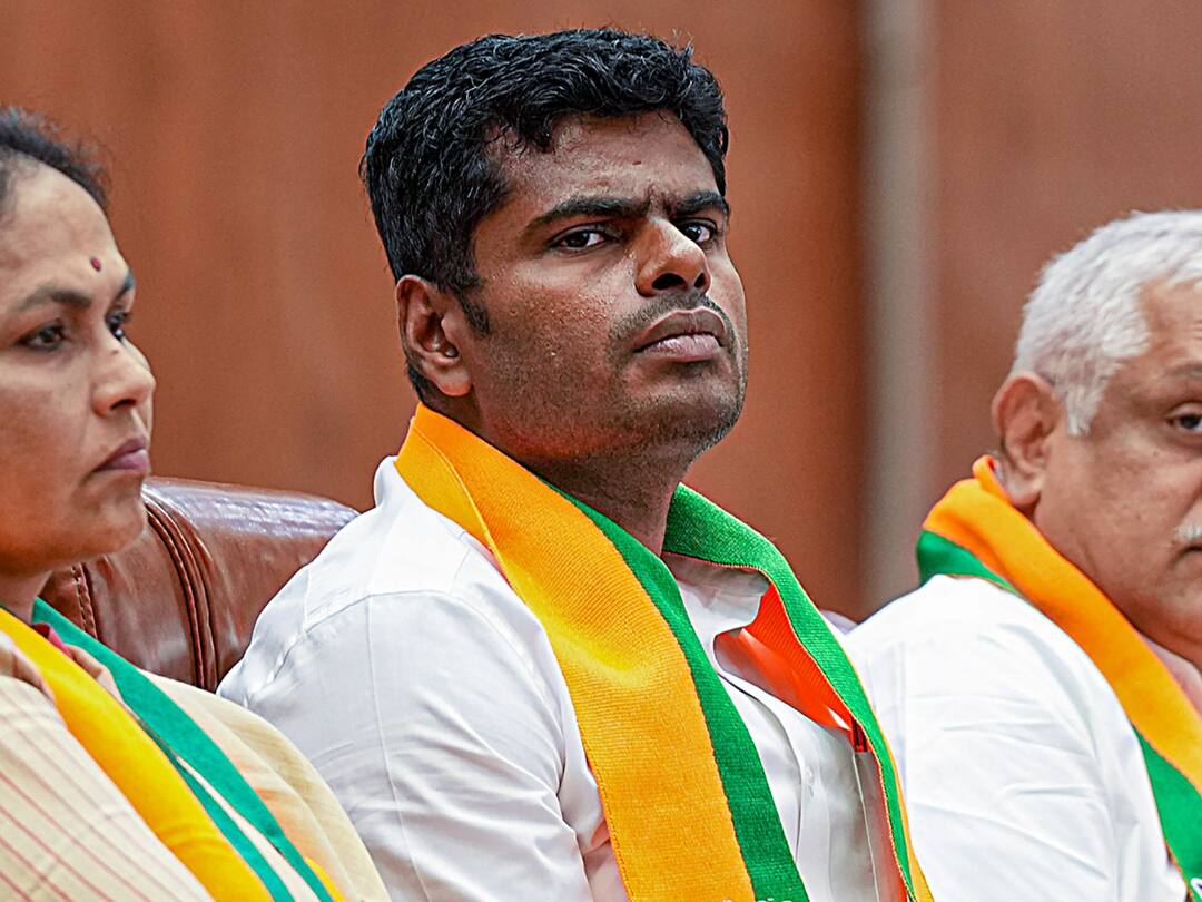 Tamil Nadu BJP Chief K Annamalai Slams DMK Leader Udhayanidhi Stalin For Sanatan Dharma Remark