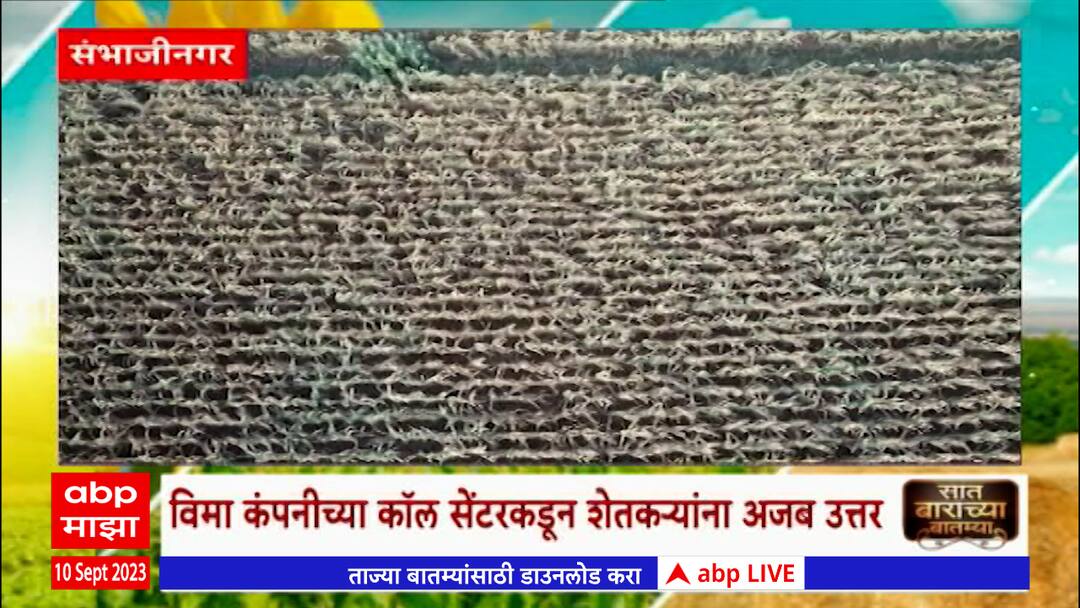 Saat Barachya Batmya 712 Pikvima Company Call Center Farming News Superfast News 10 सप्टेंबर ...