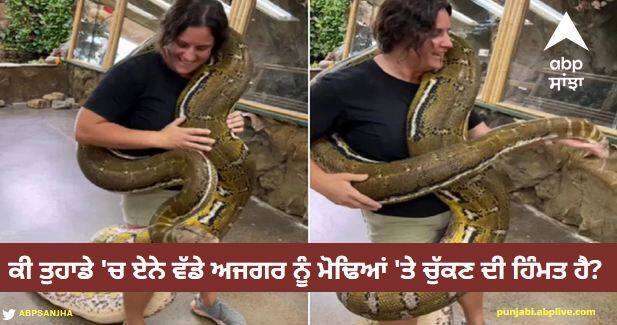 Woman Lifted A Giant Python On Her Shoulder People Shocked To See The ...