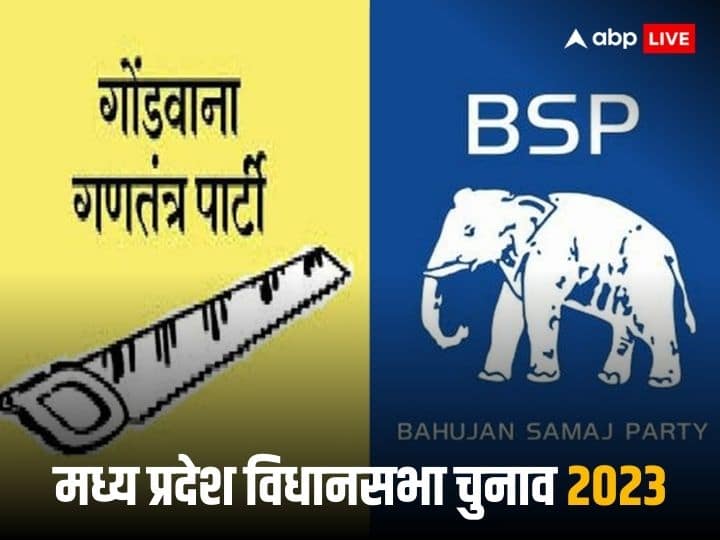 Madhya Pradesh Assembly Election 2023 BSP Gondwana Gantantra Party tie ...