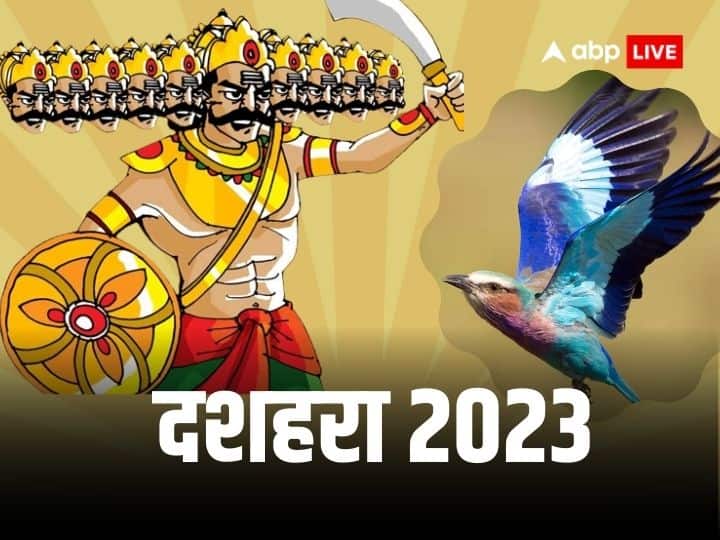 Dussehra 2023 neelkanth bird sight in vijayadashami good luck and ...
