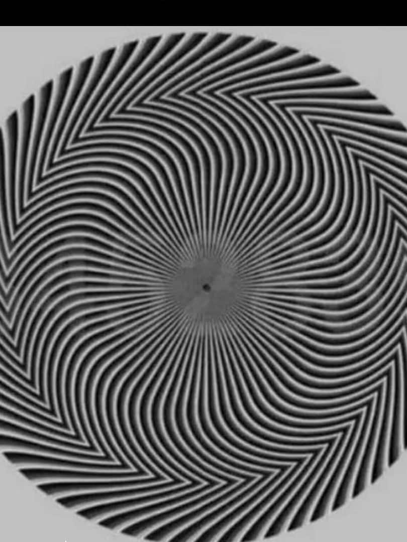 इस तस्वीर में छिपे हुए हैं कुछ नंबर, क्या 10 सेकेंड में ढूंढ पाएंगे?