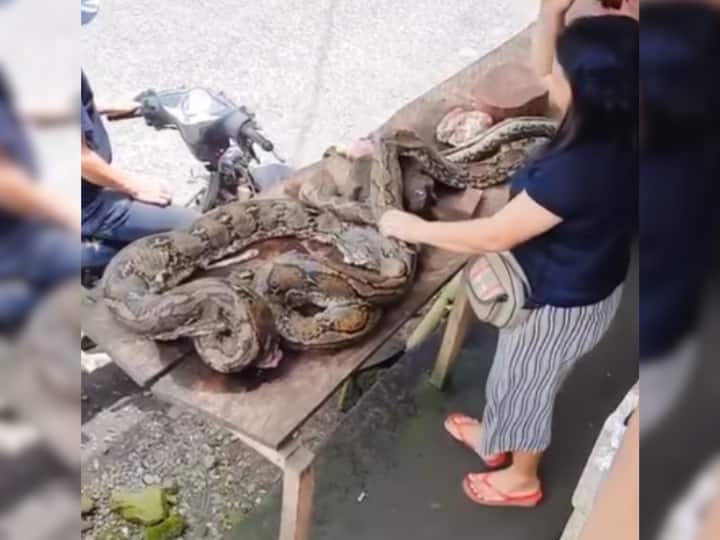 Viral Video Woman Seen Selling Python Meat On Roadside | Viral Video ...