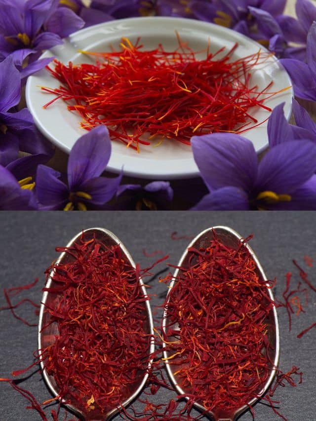 அரிதான குங்குமப்பூ-வின் ஆரோக்கிய நன்மைகள்!