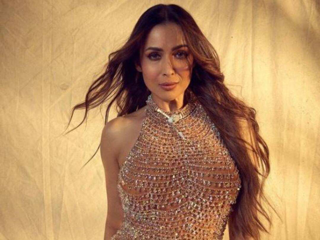 When Malaika Arora Skydived In Dubai On Her 48th Birthday: 'Instructor On The Plane Was Amazed...'