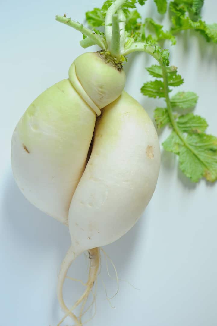Lifestyle health benefits of root vegetables photo gallery kandmool ...
