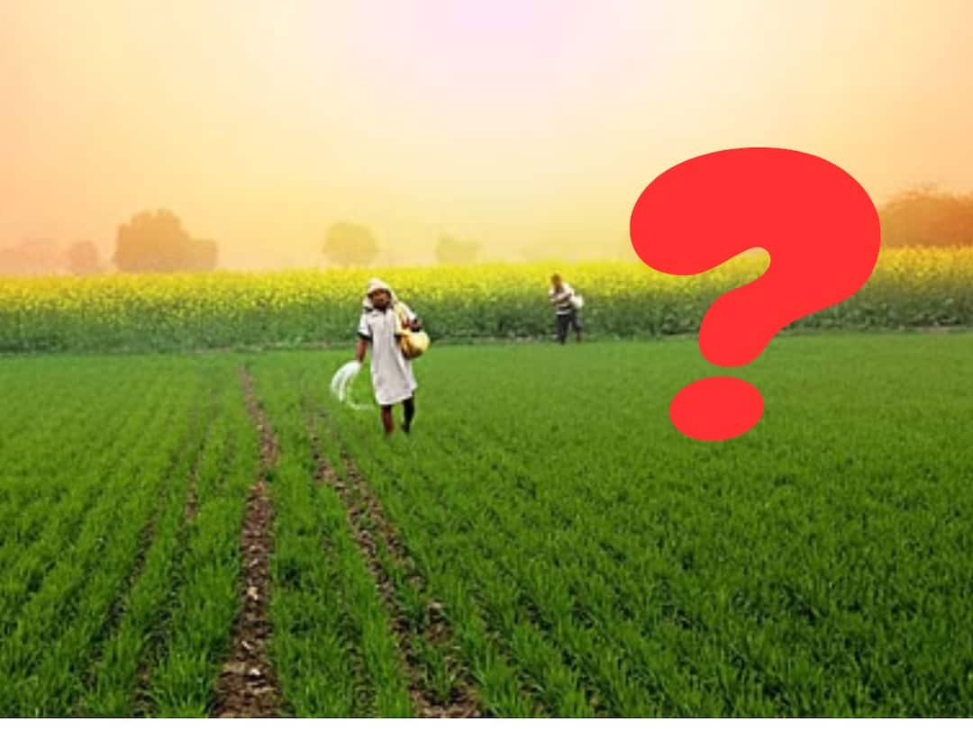 Know about what to do if 2 thousand in Kisan Samman Nidhi Yojana is not deposited in your ...