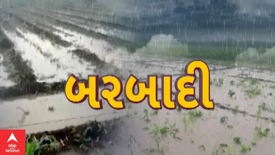 Surat News : Water revenue in Muzlav Vavya creek of Mandvi taluk of ...