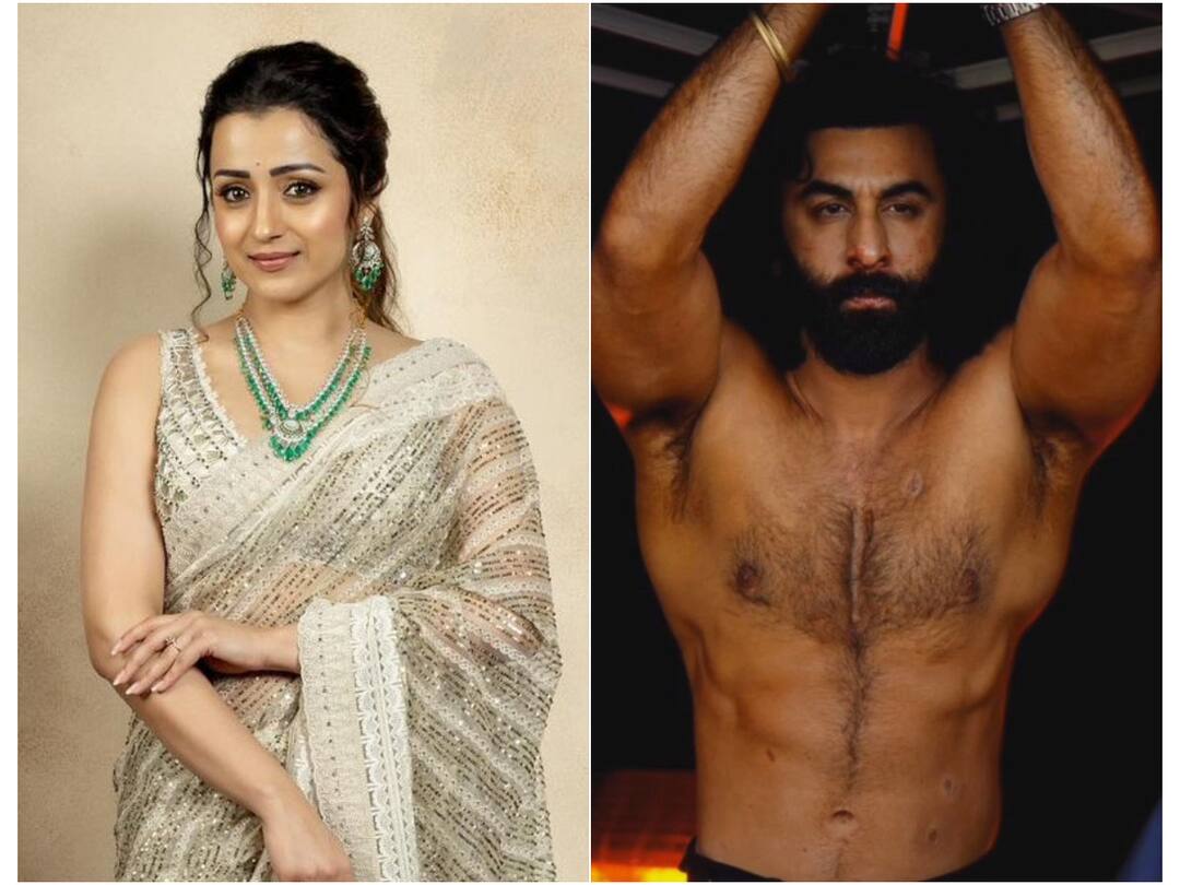 Trisha Krishnan Praises Ranbir Kapoor's Animal As 'Cult' Film, Deletes ...