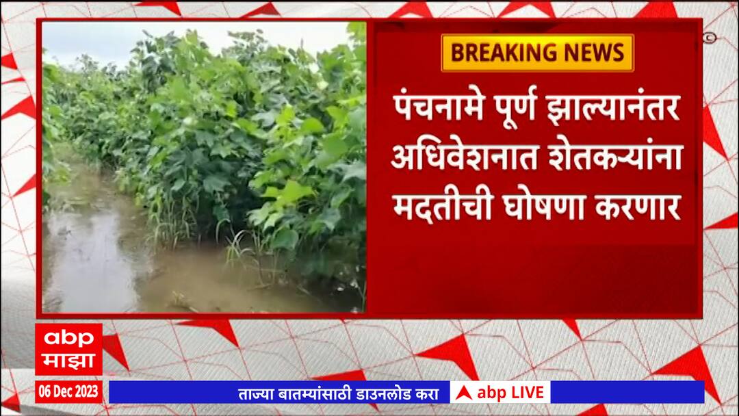 Maharashtra Unseasonal Rain Maharashtra news update marathi news ABP majha | Maharashtra ...