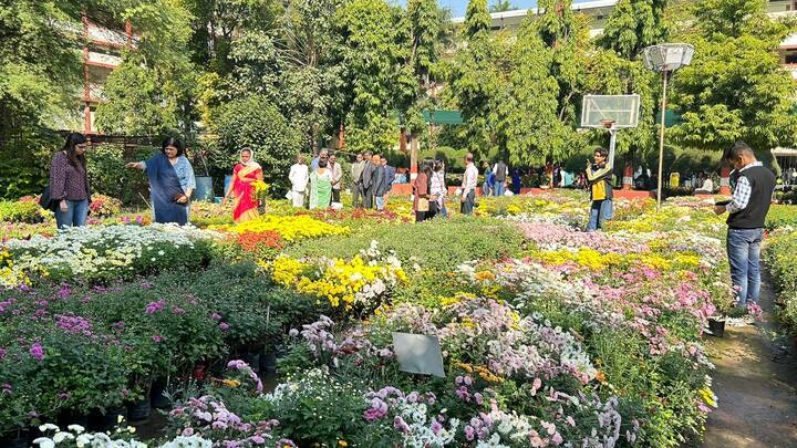 Nagpur Flower Festival at Hyslop College this is the 20th year ...