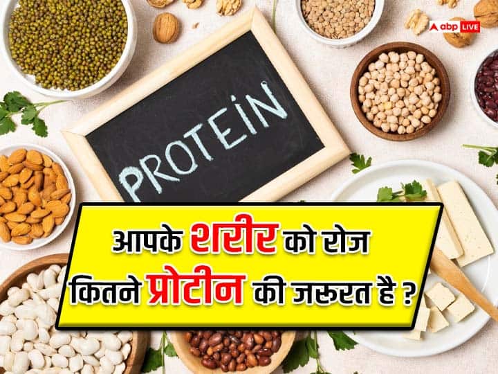 Consuming too much protein causes these harms to the body know how much ...