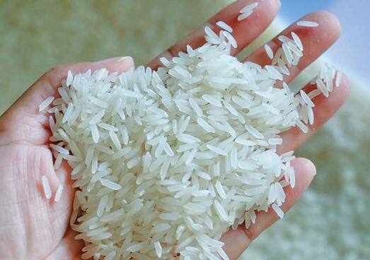 Rice Price Hike to 15 year high due | Rice Price : वर्षभरात तांदळाच्या ...