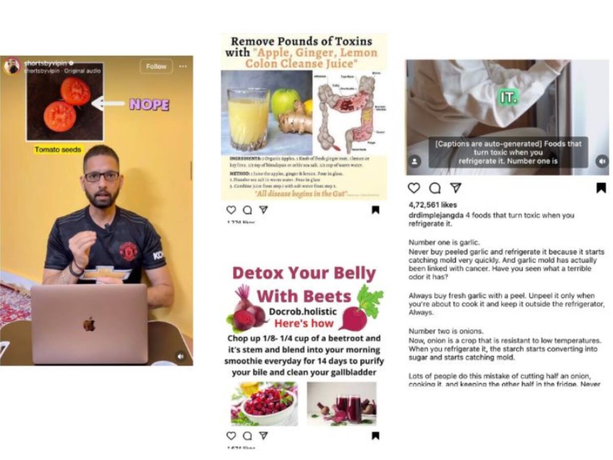 Don't Eat Tomato Seeds To Eggplants Are Toxic: The 2023 Food Misinformation Trends And What ...