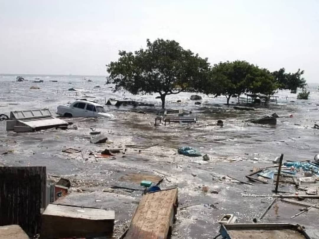 19 Years Of Disaster Chennai And South Coastal Tamilnadu Tsunami Memorial Day People Homage In ...