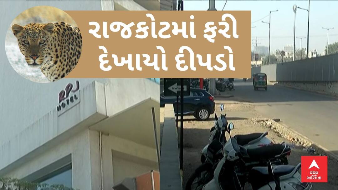 Rajkot Leopard CCTV | Now Leopard seen Kalawad road hotel of Rajkot | Rajkot Leopard CCTV | હવે ...