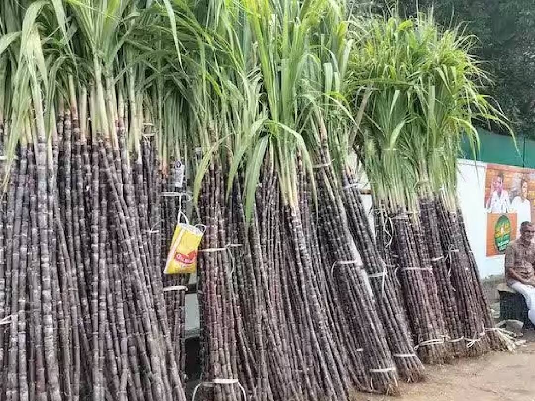 Pongal Parisu Thogai 2024: பொங்கல் பரிசு வழங்க வழிகாட்டு நெறிமுறைகள் வெளியீடு - தமிழ்நாடு அரசு