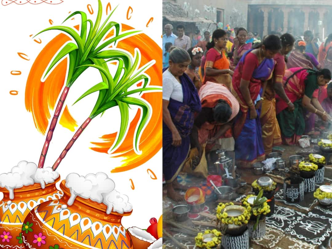 Pongal 2024 Date Tamil Nadu Bhogi Thai Pongal Mattu Pongal Kaanum ...