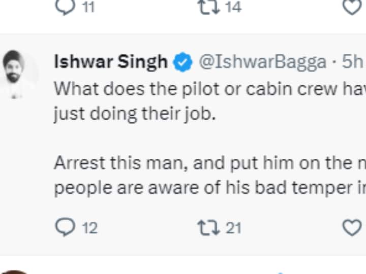 Indigo Flight Social Media Reactions Passenger Punch the New Captain ...