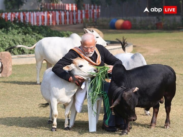 PM Narendra Modi with Punganur Cow What is special about Punganur cow ...