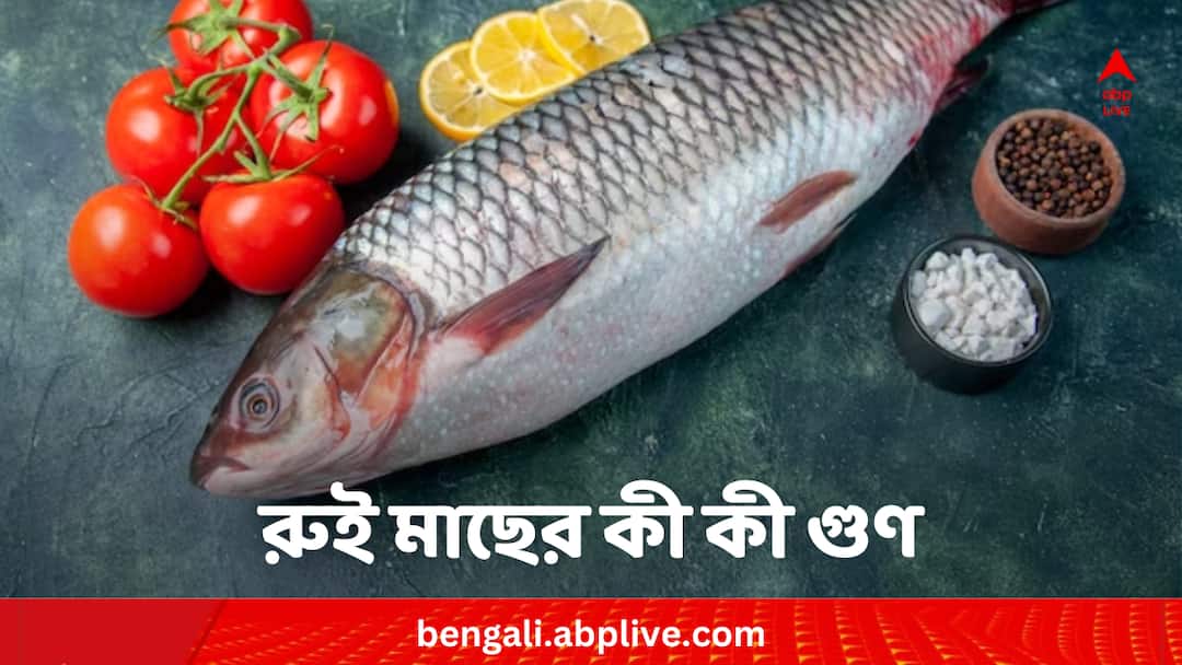 Rohu fish has six big health benefits | Rohu Fish Benefits: রুই মাছ ভাল ...