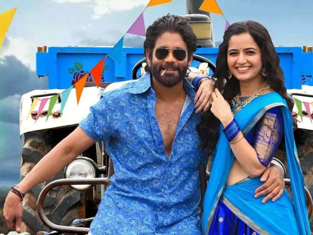 Akkineni nagarjunas Naa Saami Ranga movie Worldwide Box Office ...