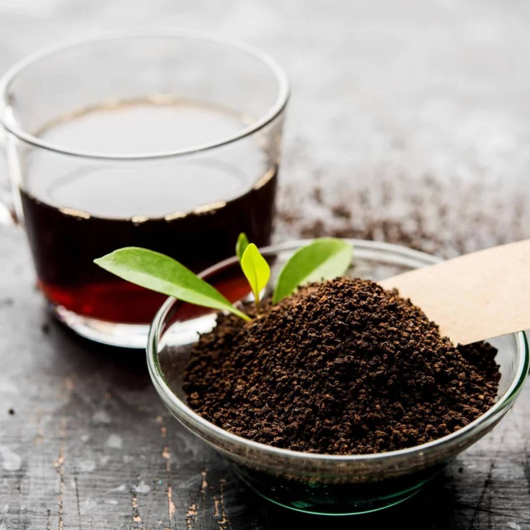 Before drinking tea, do this to identify fake-real tea leaves | Tea ...