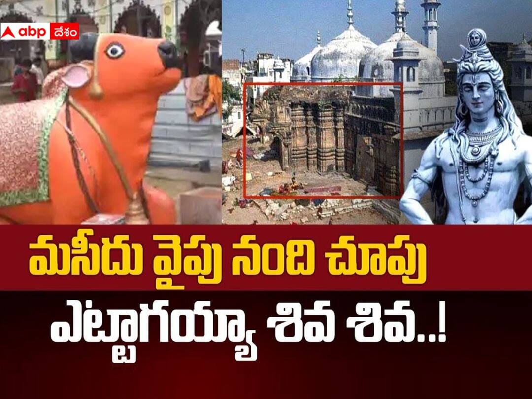 What Is Gyanvapi Mosque Case Evidence from history on Gyanvapi and ...