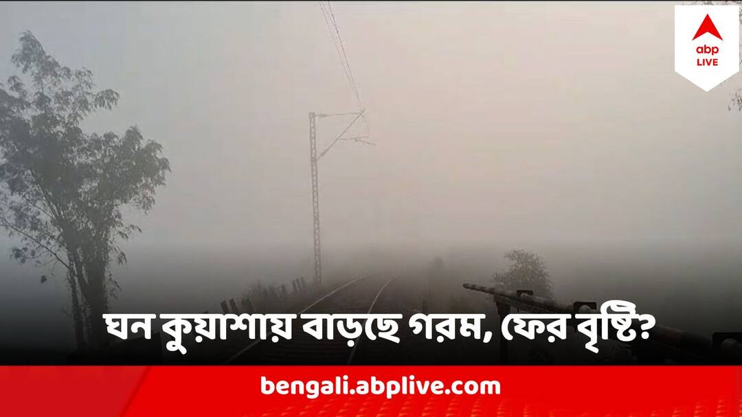 West Bengal Weather Temperature Rise High Probability of rain next year ...