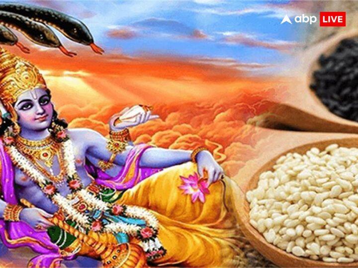 Shattila Ekadashi 2024 benefits of till daan on 6th february ekadashi ...