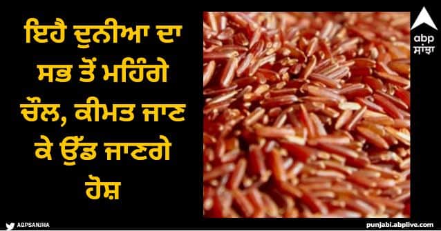 most expensive rice in world know price | Viral News: ਇਹੈ ਦੁਨੀਆ ਦੇ ਸਭ ...